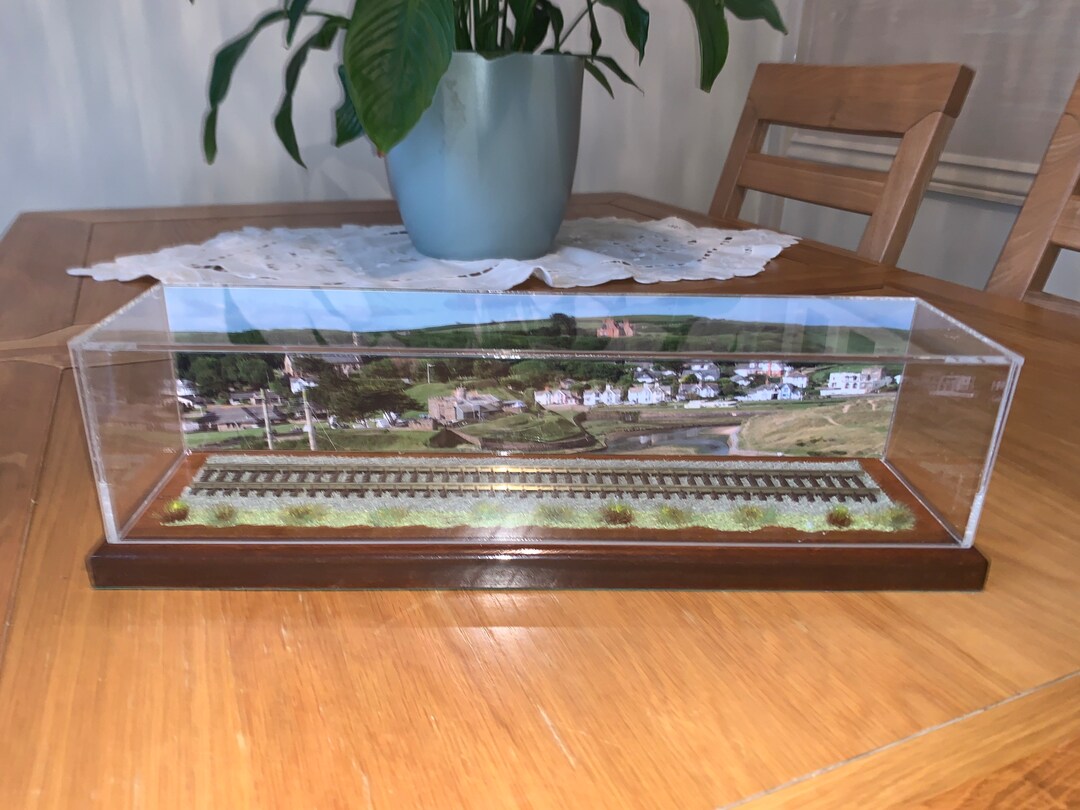 Display Case for a Oo Gauge Hornby Locomotive Train.with Fixed Track ...