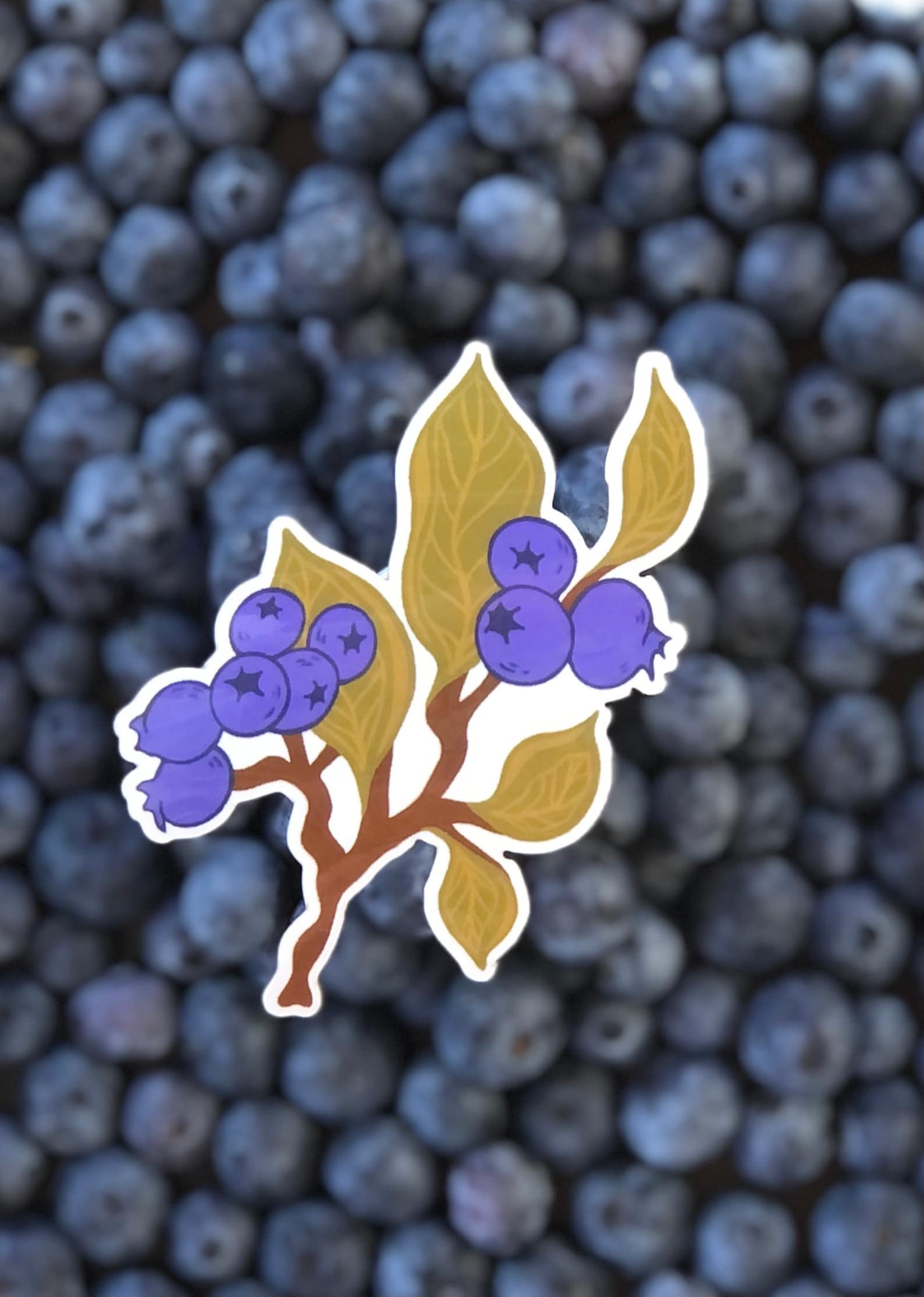 Blueberry Branch Sticker - Etsy