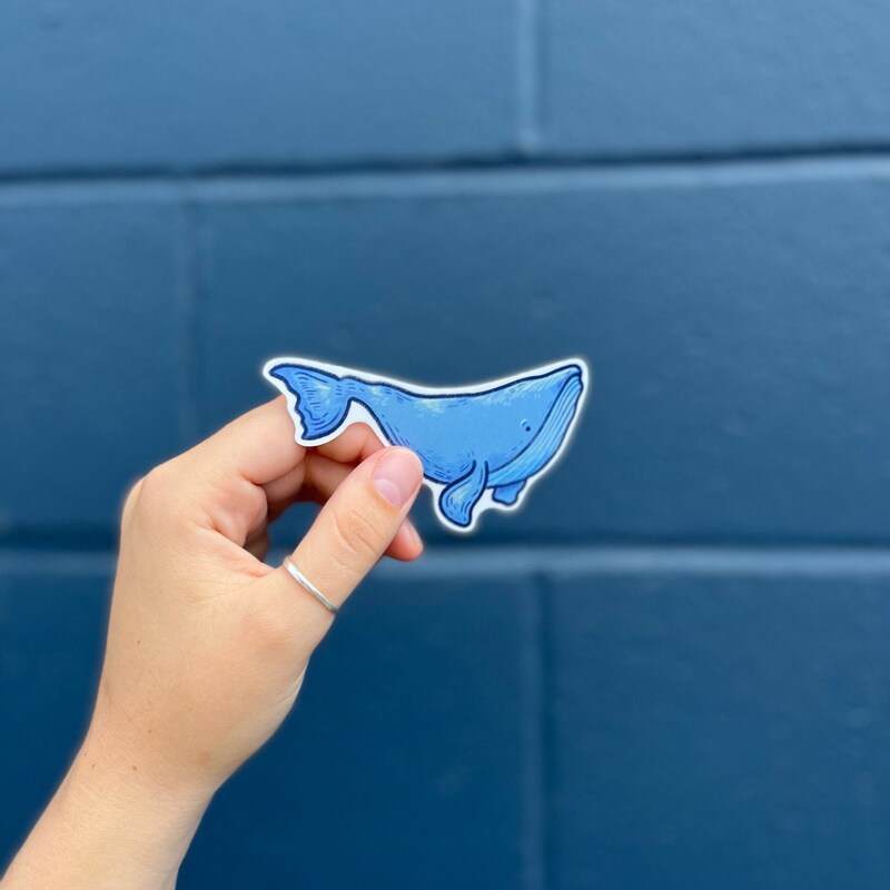 Whale Sticker - Etsy