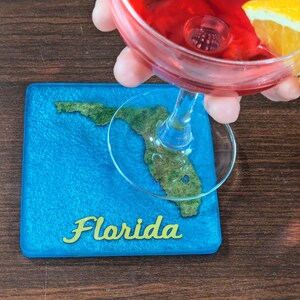 Florida Coasters (set of 4), Sunshine State Souvenir, Vacation Resin ...