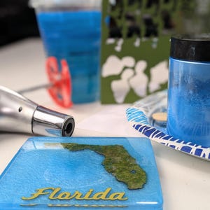 Florida Coasters (set of 4), Sunshine State Souvenir, Vacation Resin ...