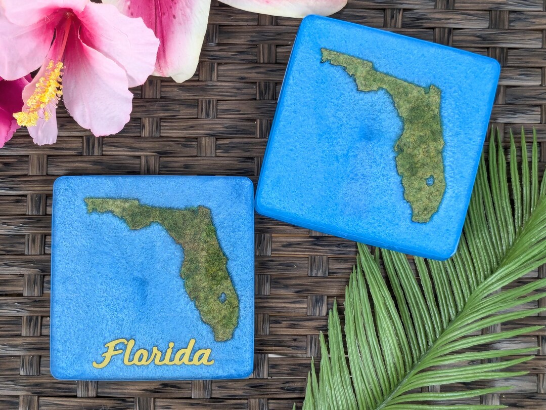 Florida Coasters (set of 4), Sunshine State Souvenir, Vacation Resin ...