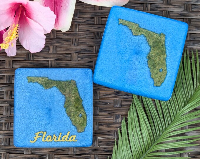 Florida Coasters (set of 4), Sunshine State Souvenir, Vacation Resin ...