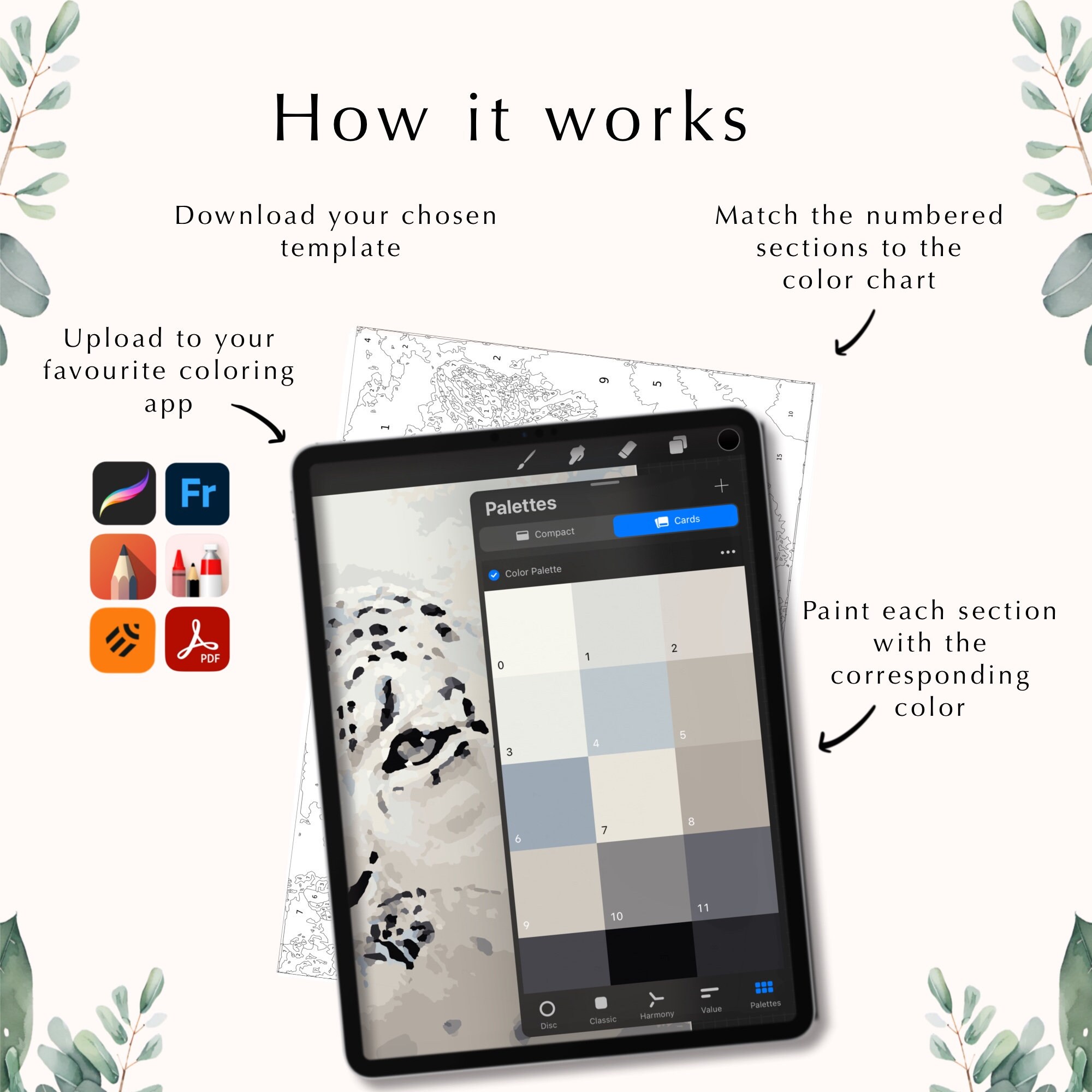 Paint by Number Kit Digital Procreate Fresco Sketchbook - Etsy