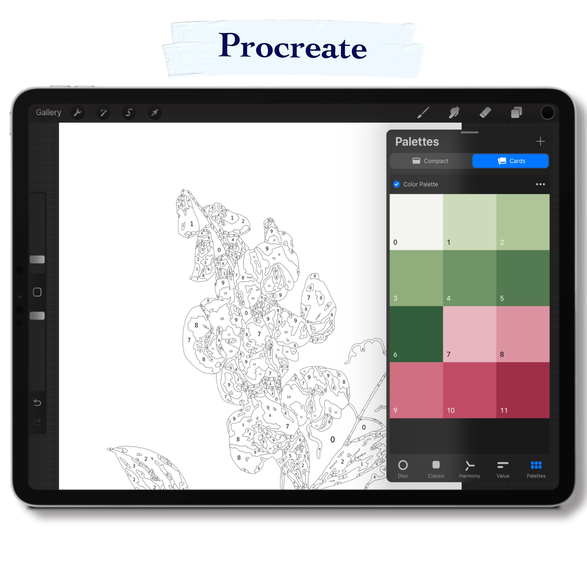 Paint by Number Kit Digital Procreate Sketchbook and Art Set - Etsy