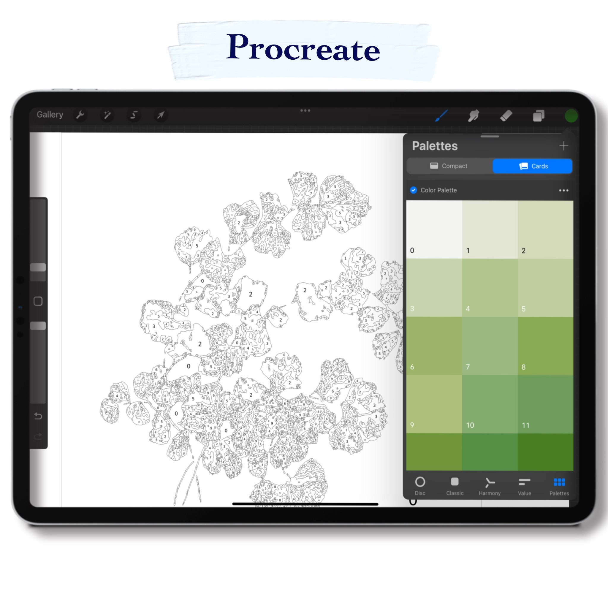 Paint by Number Kit Digital Procreate Template and Sketchbook - Etsy