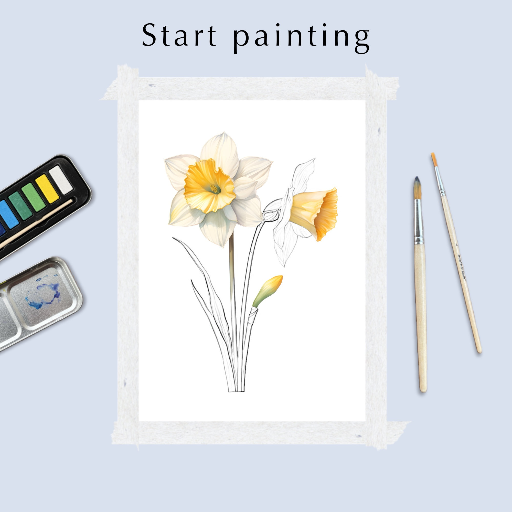 Daffodil Flower Outline Drawing, PDF Digital Download for Coloring or ...