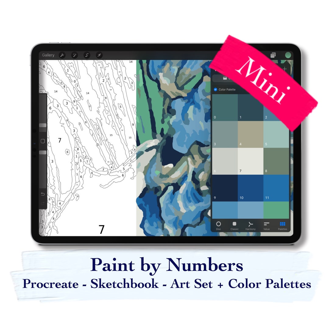 Paint by Number Kit Digital MINI, Procreate, Sketchbook and Art Set ...
