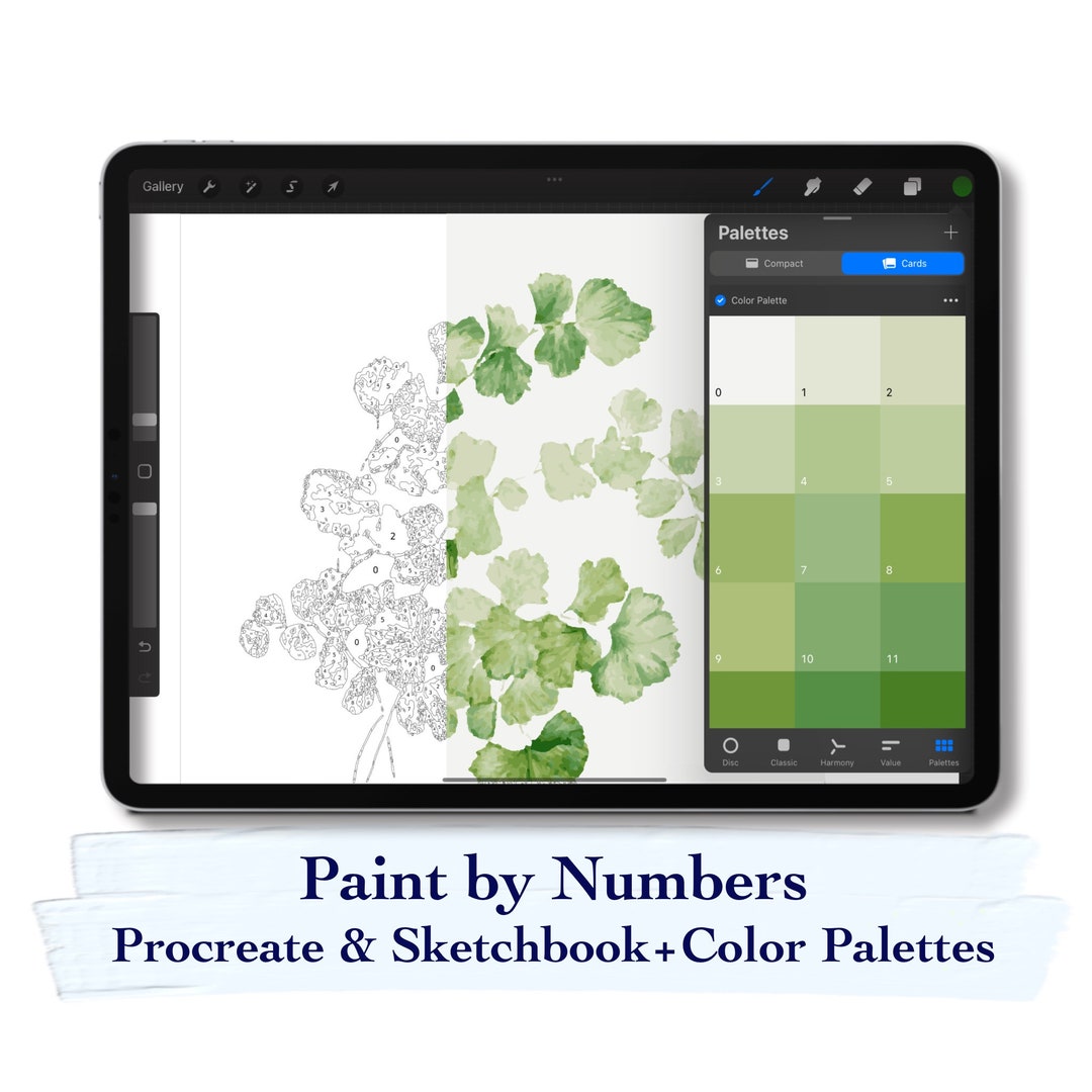 Paint by Number Kit Digital, Procreate Template and Sketchbook Template ...