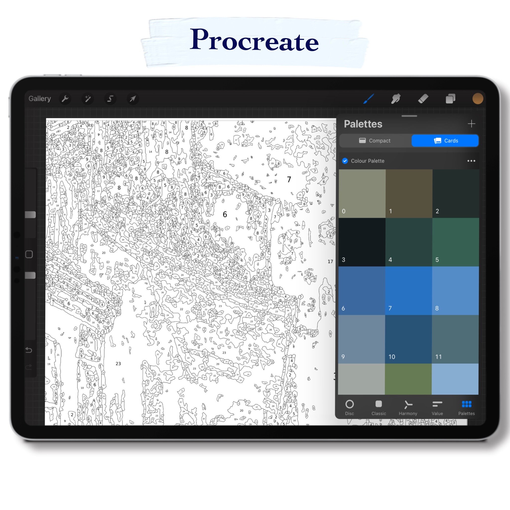 Paint by Number Kit Digital Procreate Sketchbook and Art Set - Etsy