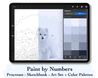 Paint by Number Kit Digital Procreate Template and Sketchbook - Etsy
