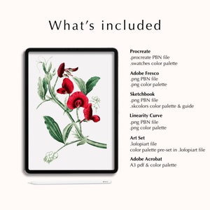 Paint by Number Kit Digital, Procreate, Sketchbook and Art Set ...