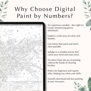 Paint by Number Kit Digital Procreate Fresco Sketchbook - Etsy