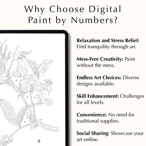 Paint by Number Kit Digital, Procreate, Sketchbook and Art Set ...
