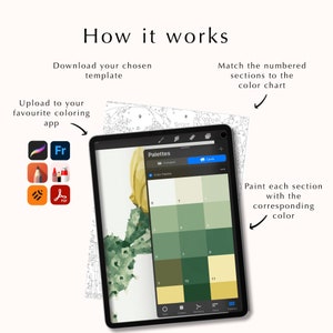 Paint by Number Kit Digital, Procreate, Fresco, Sketchbook, Art Set ...