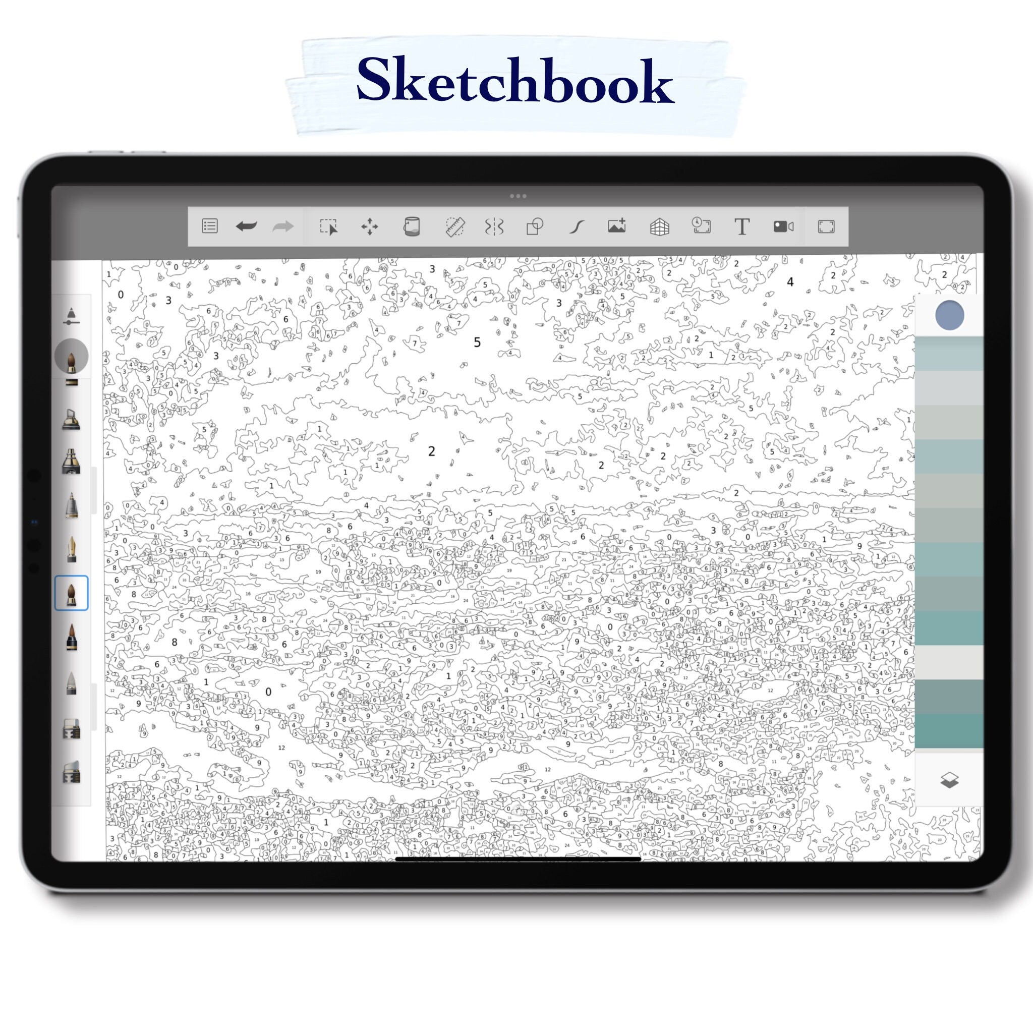 Paint by Number Kit Digital Procreate Sketchbook and Art Set - Etsy