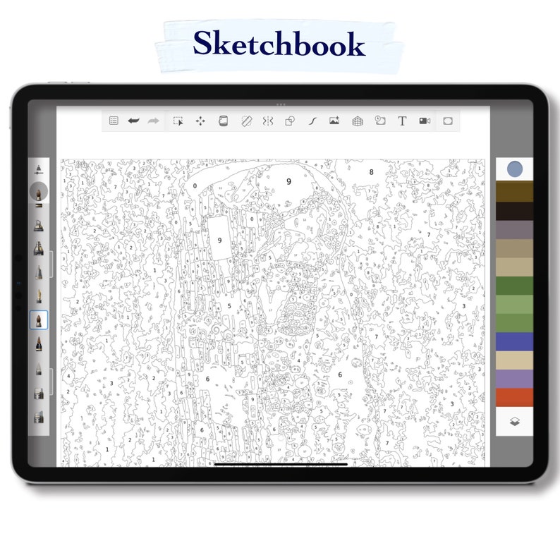 Paint by Number Kit Digital Procreate Sketchbook and Art Set - Etsy