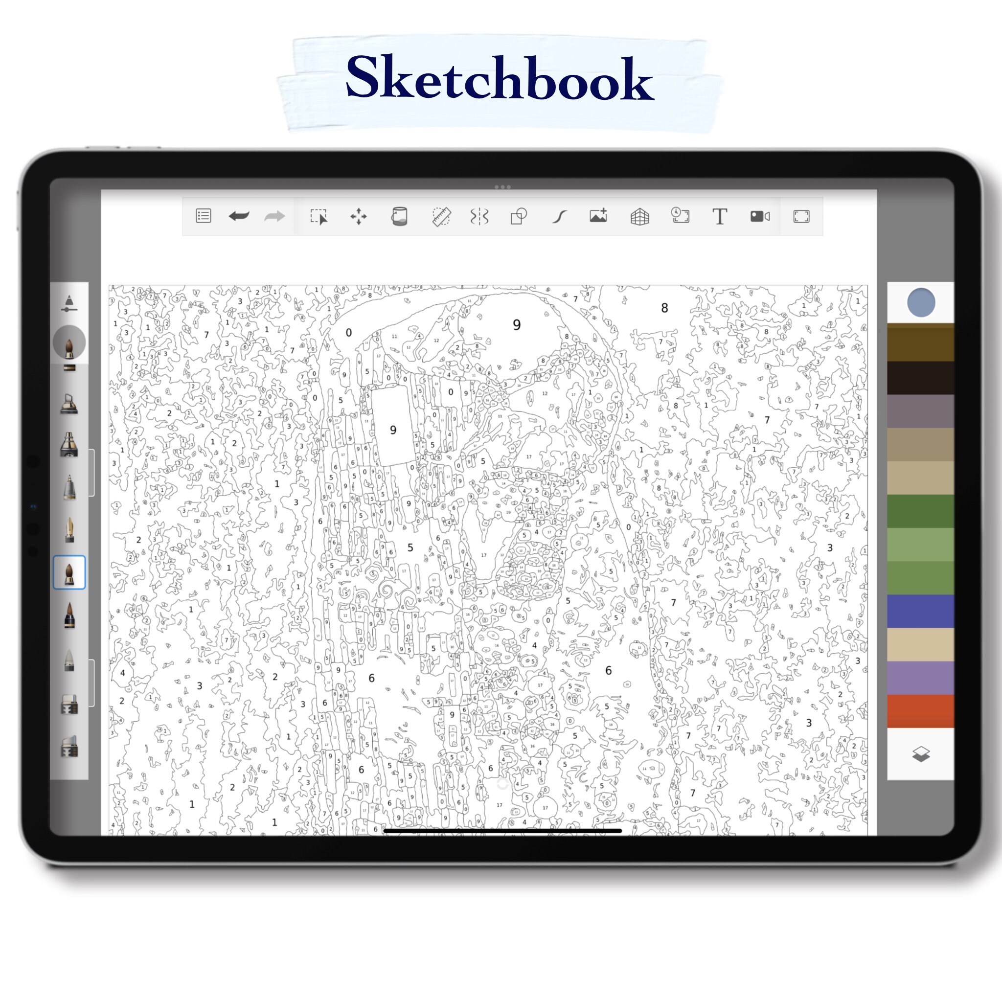 Paint by Number Kit Digital Procreate Sketchbook and Art Set - Etsy