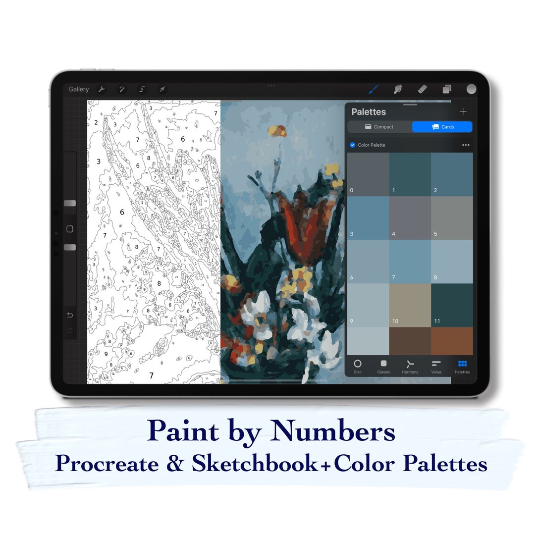 Paint by Number Kit Digital Procreate Template and Sketchbook - Etsy