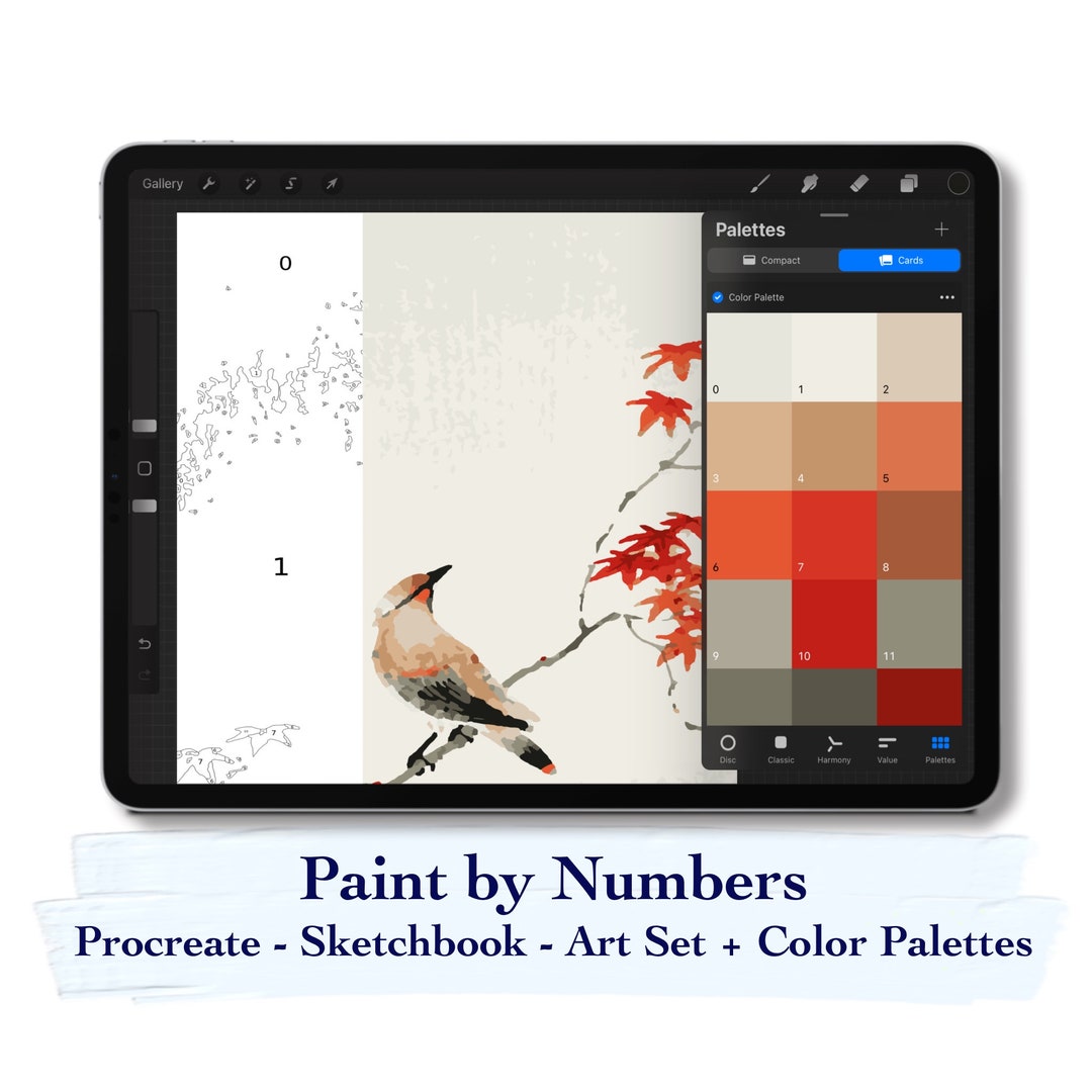 Paint by Number Kit Digital Procreate Sketchbook and Art Set - Etsy