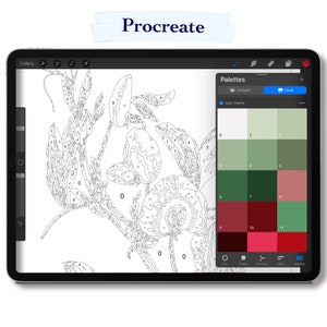 Paint by Number Kit Digital Procreate Sketchbook and Art Set - Etsy