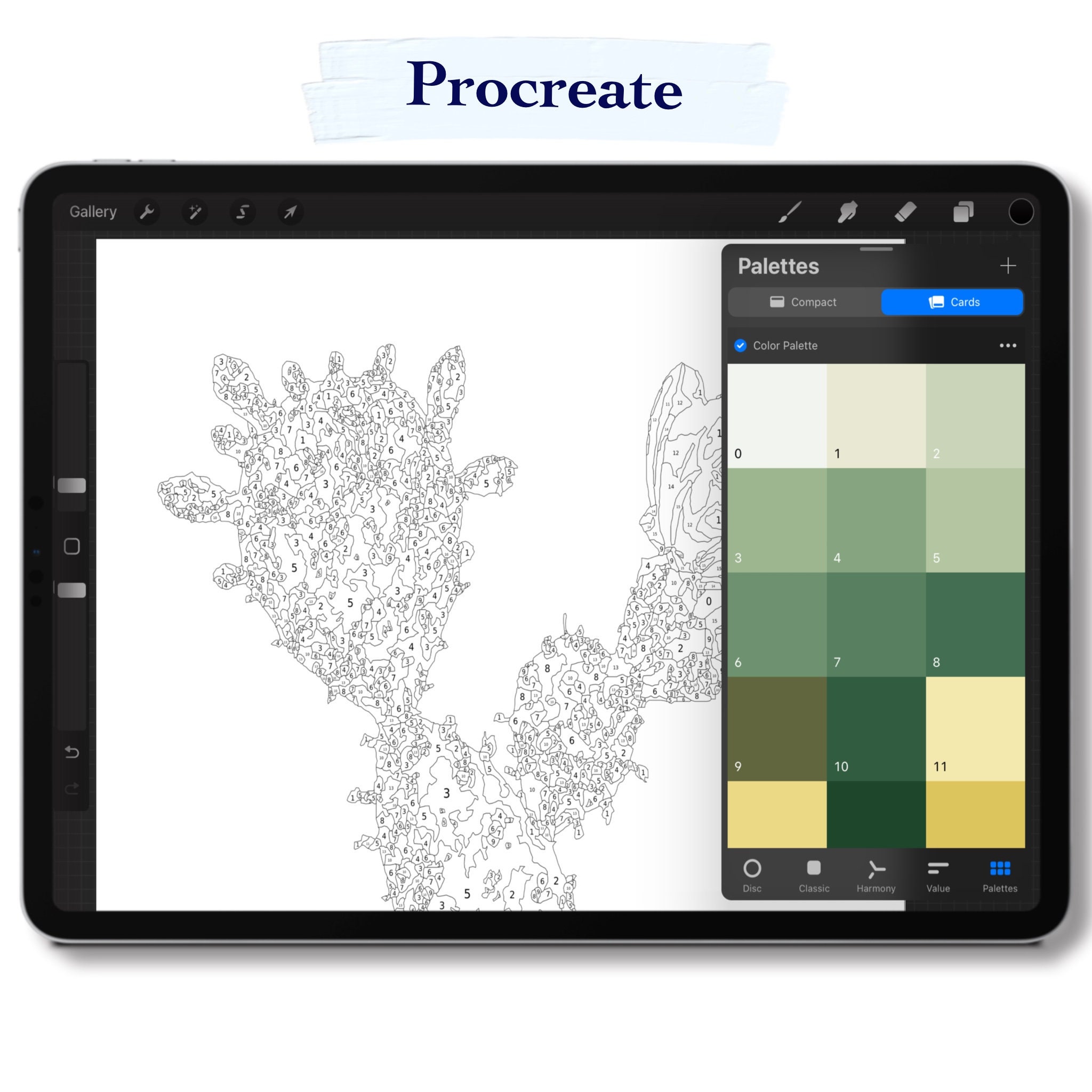 Paint by Number Kit Digital Procreate Sketchbook and Art Set - Etsy