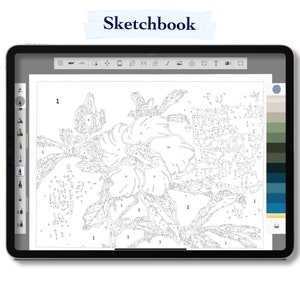 Paint by Number Kit Digital, Procreate, Sketchbook and Art Set ...