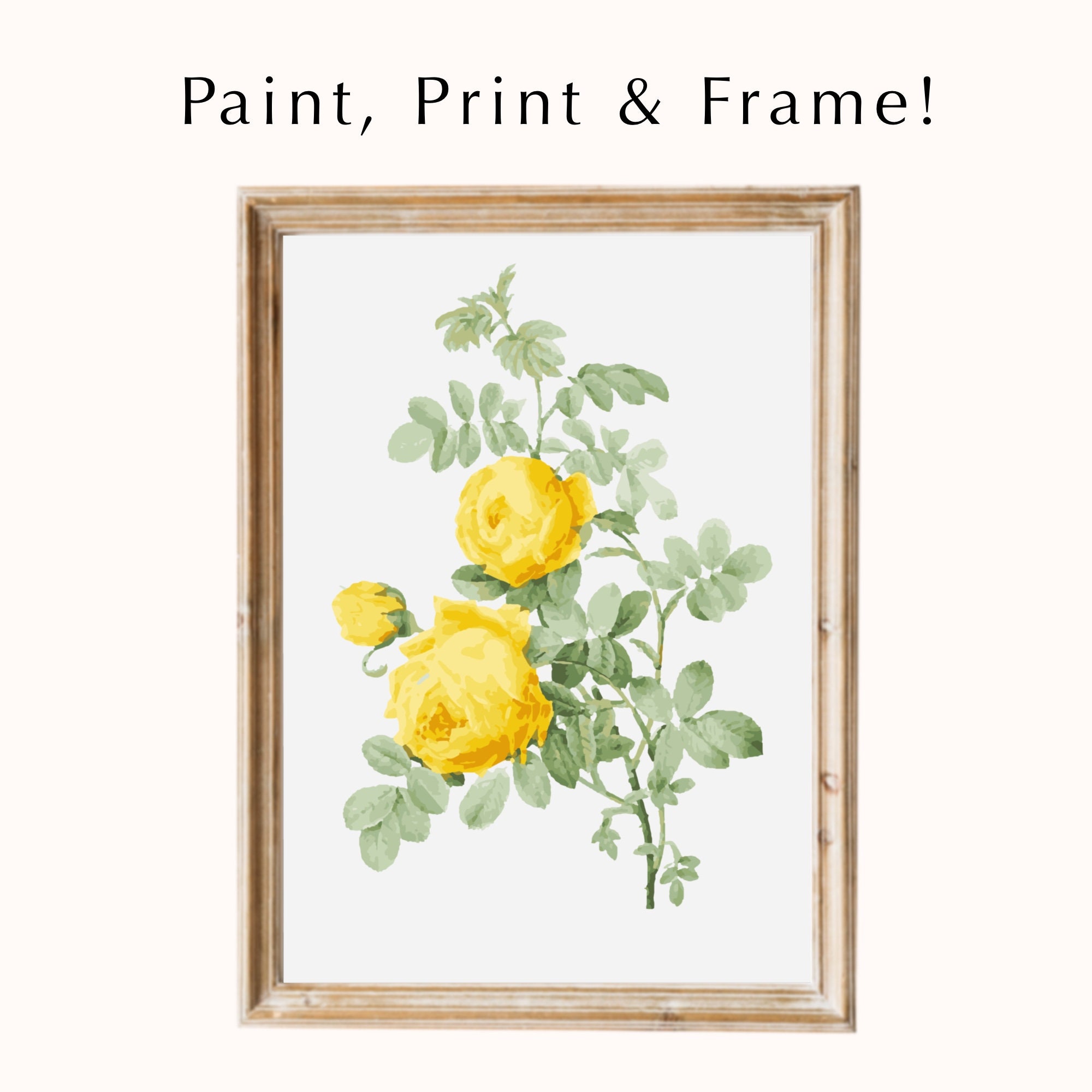 Yellow Rose Paint by Number Template: Procreate, Fresco, Sketchbook ...