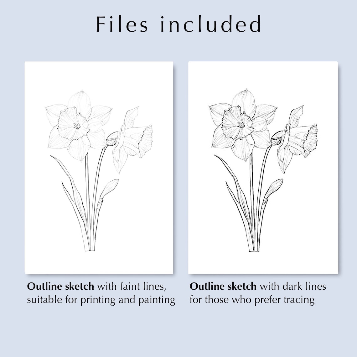 Daffodil Flower Outline Drawing, PDF Digital Download for Coloring or ...