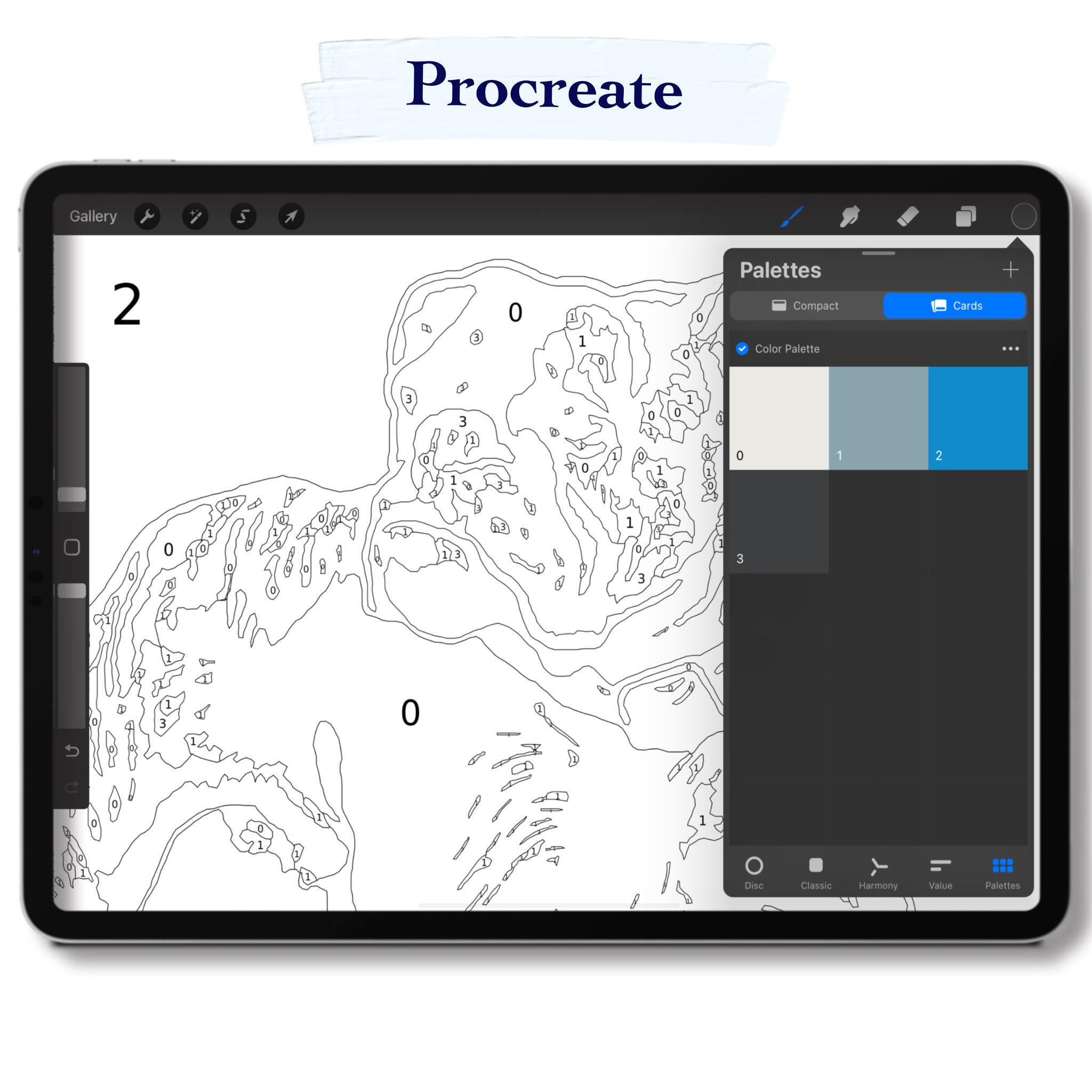 Paint by Number Kit Digital Procreate Sketchbook and Art Set - Etsy