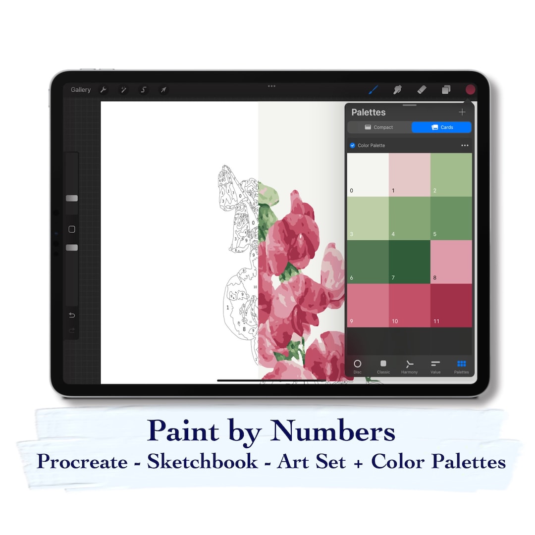Paint by Number Kit Digital, Procreate, Sketchbook and Art Set ...