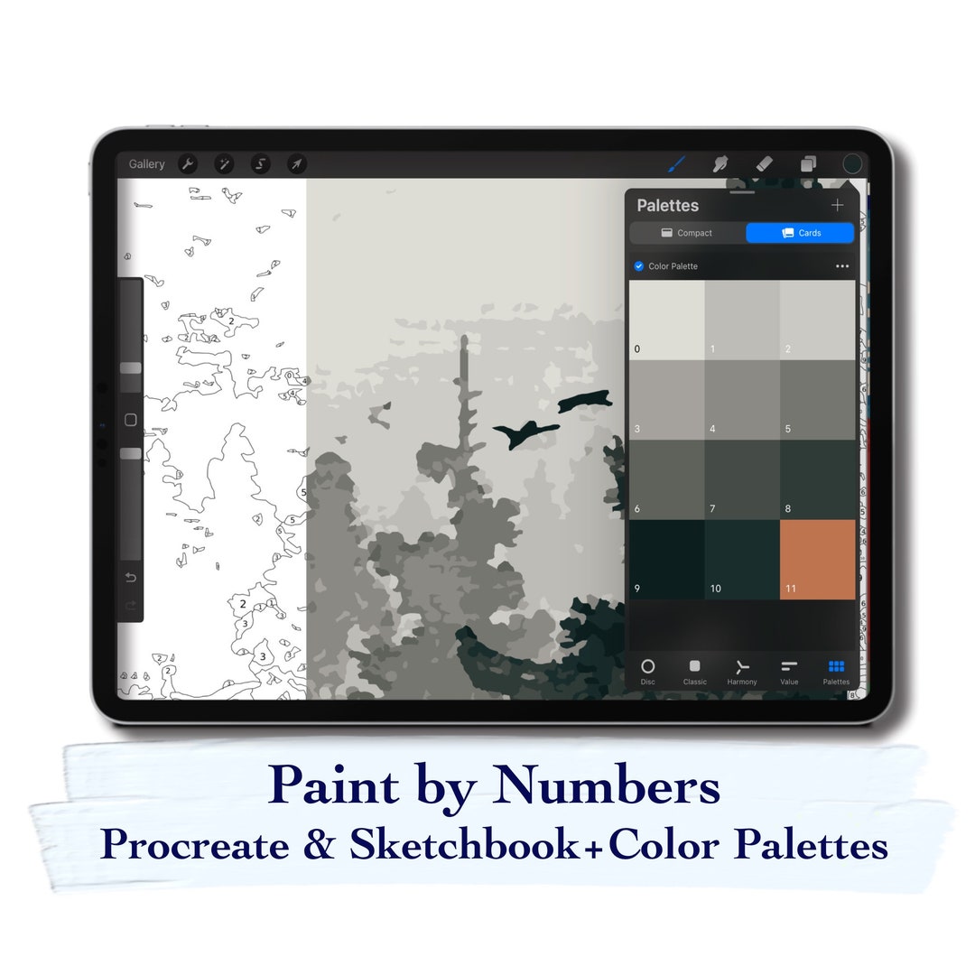 Paint by Number Kit Digital Procreate Template and Sketchbook - Etsy