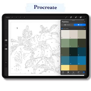 Paint by Number Kit Digital, Procreate, Sketchbook and Art Set ...
