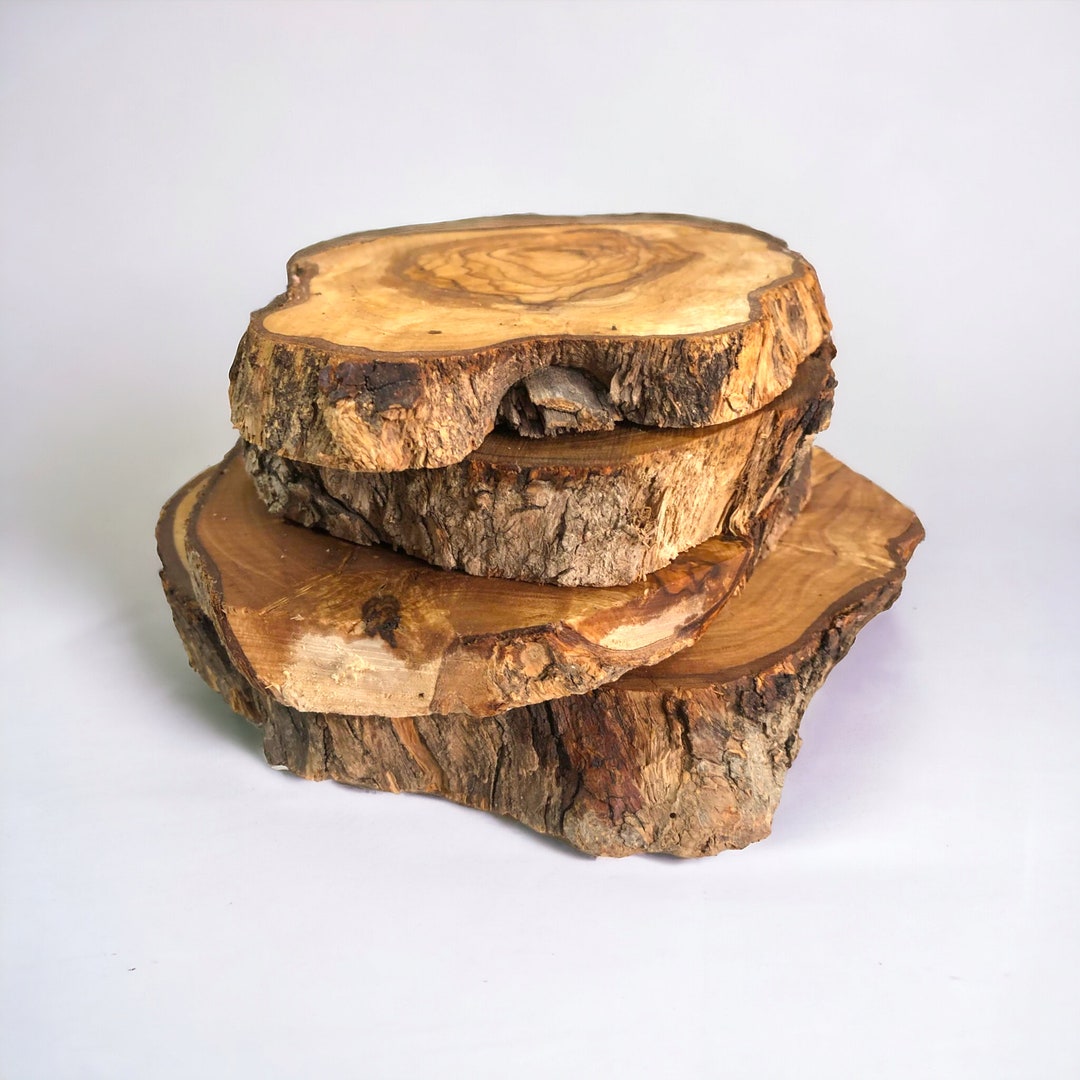 Olive Wood Cookies for Woodworking Projects - 3 to 7" Diameter, 1 ...