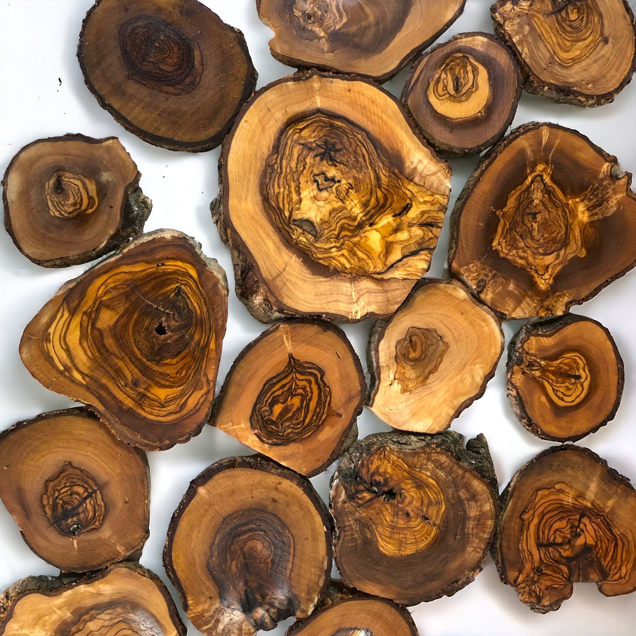 Olive Wood Cookies for Woodworking Projects - 3 to 7" Diameter, 1 ...