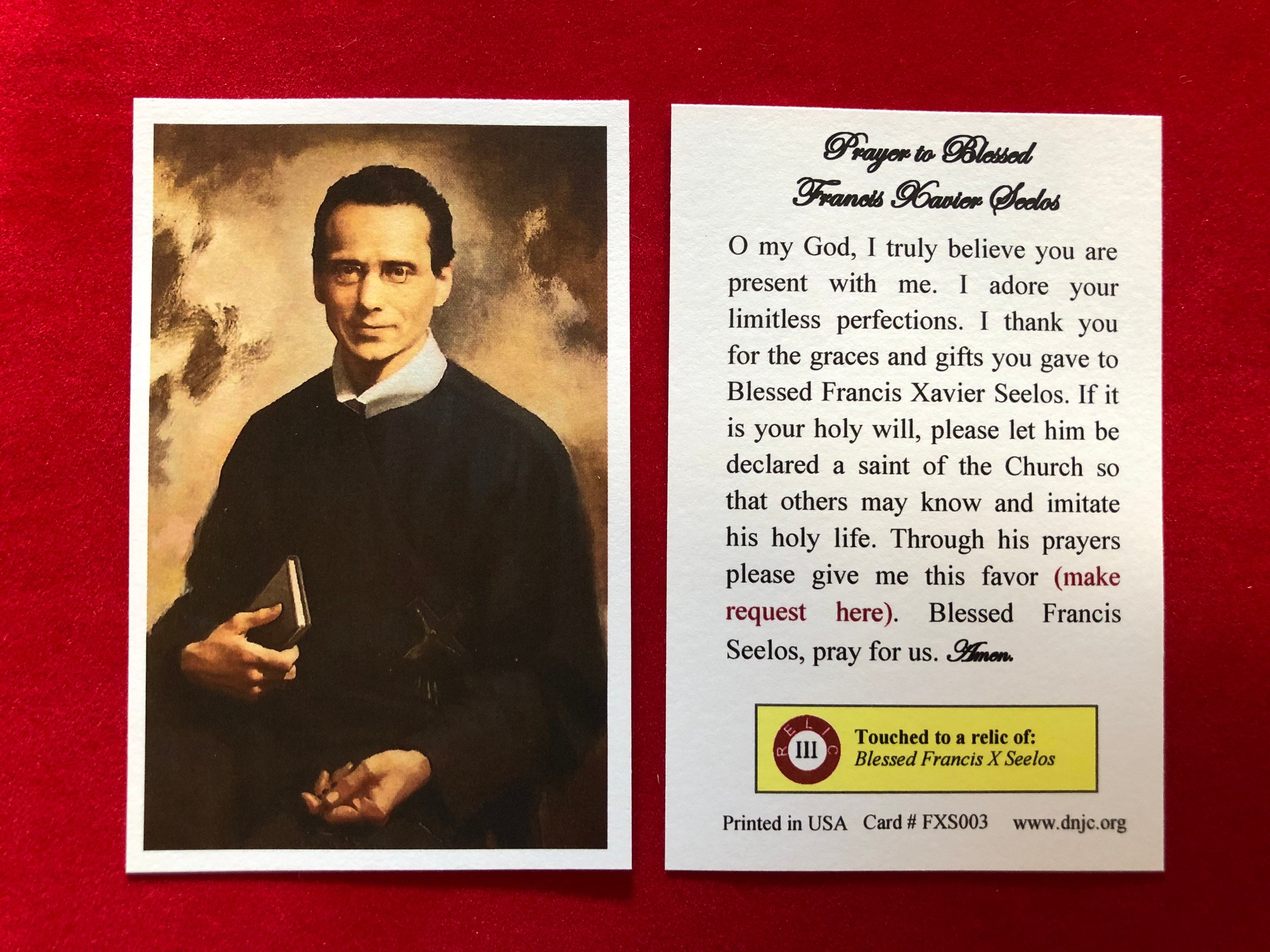 6-pack of Blessed Francis Xavier Seelos Third Class Relic Holy Cards ...