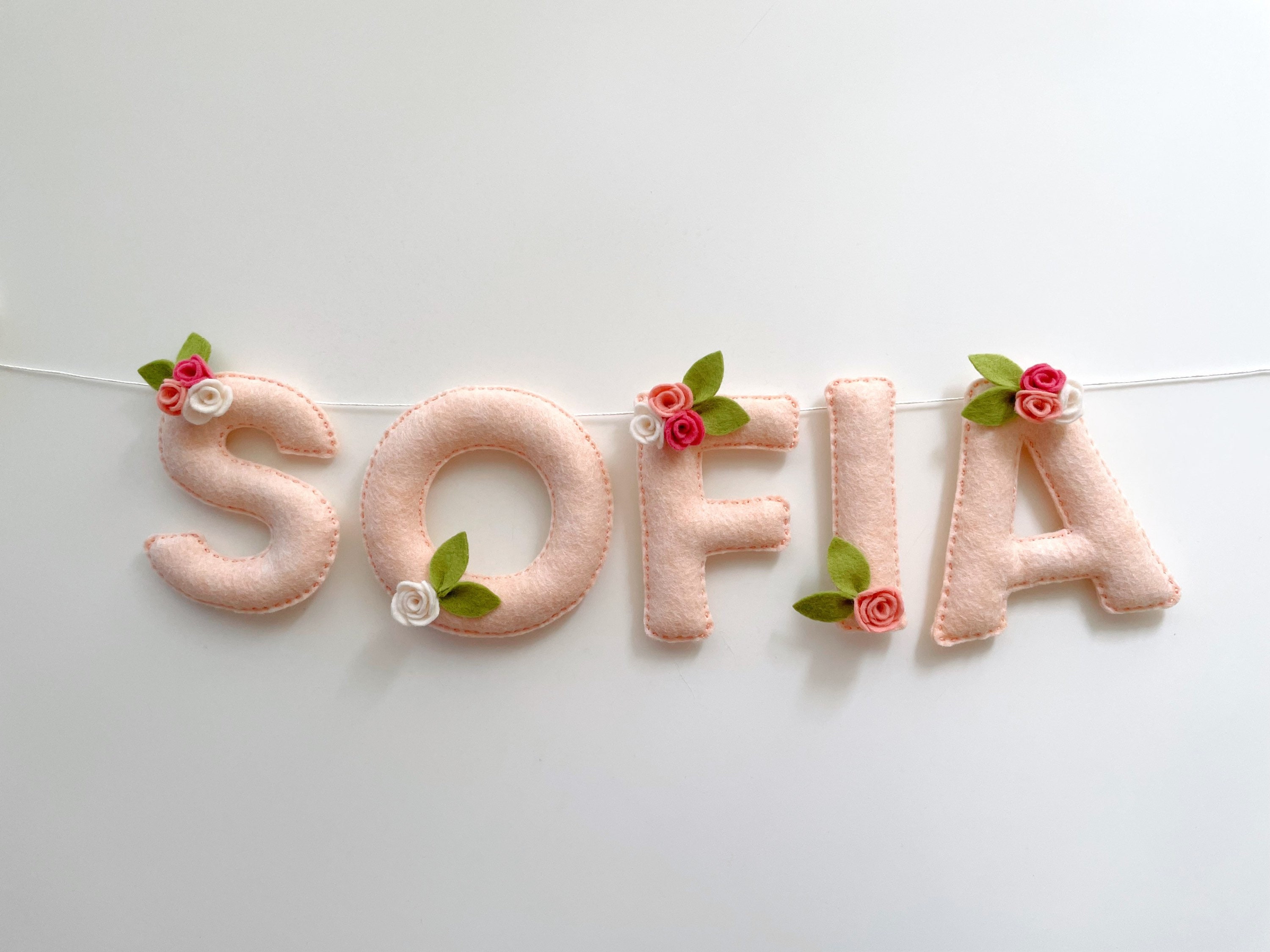 Blush Name Banner, Nursery Room Banner, Name Banner, Decorative Banner ...