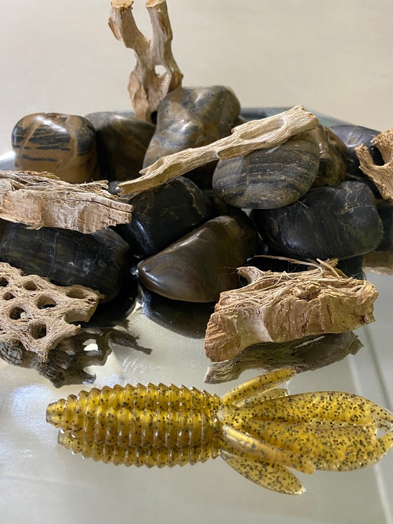 Hand Poured Four Inch Creature Bait | Etsy