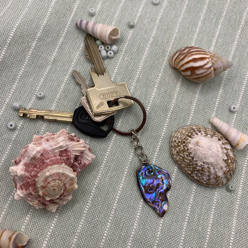 Seashell Accessories - Etsy