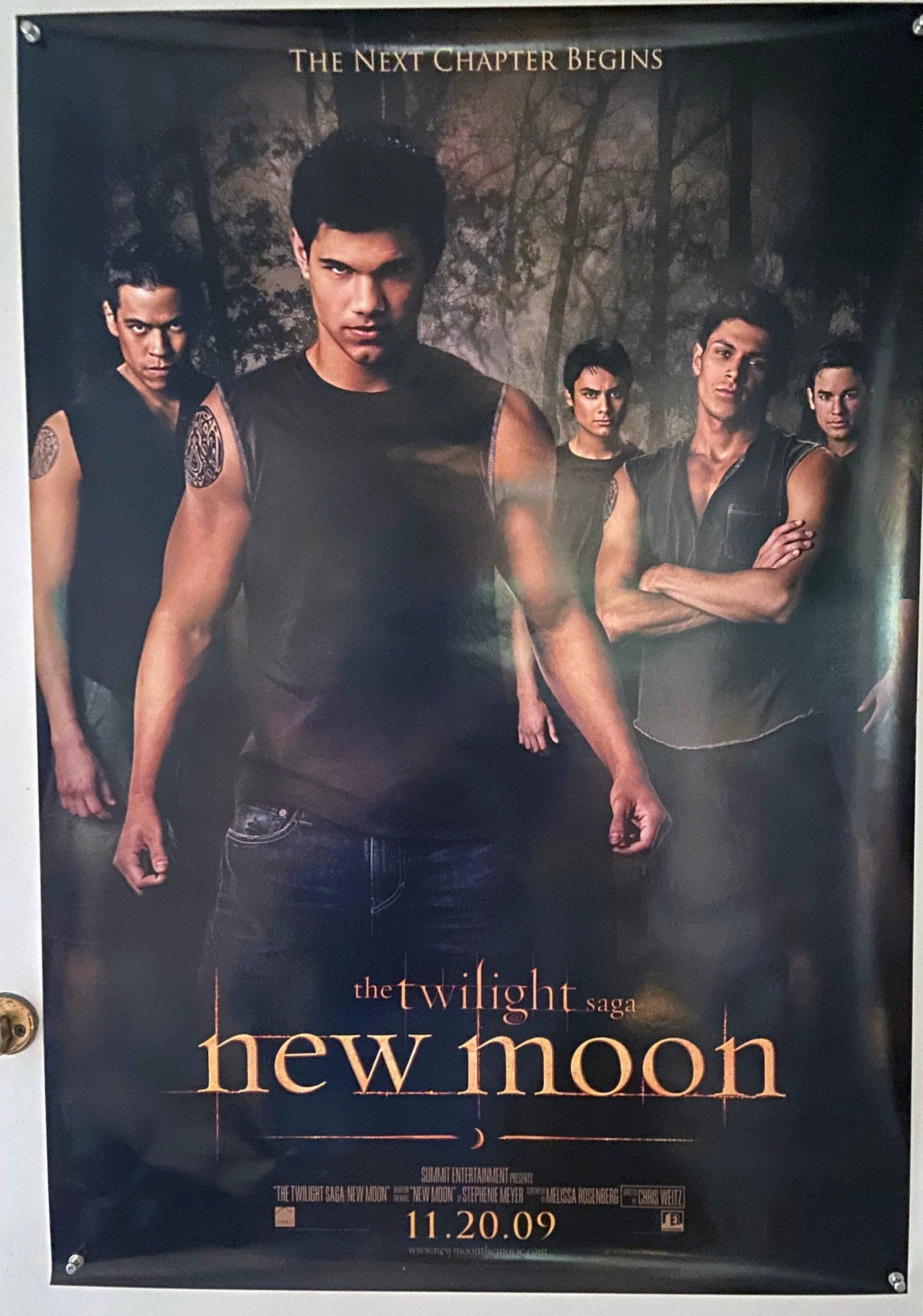 Werewolf Twilight New Moon