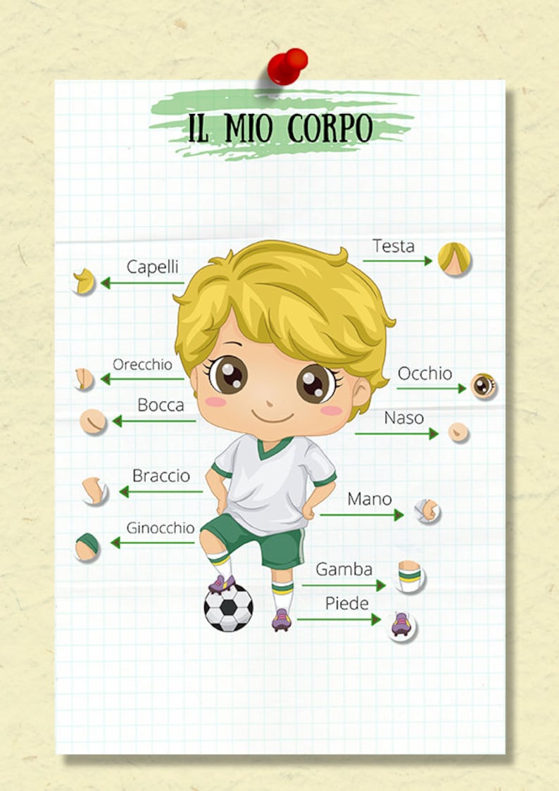 Body Parts Chart in Italian Digital Download, Il Corpo Umano, Pre ...