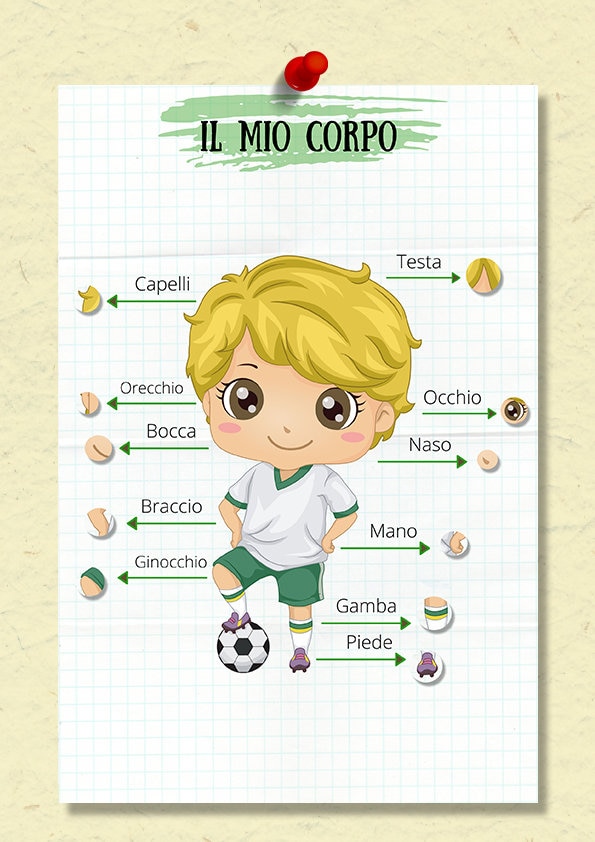 Body Parts Chart in Italian Digital Download, Il Corpo Umano, Pre ...