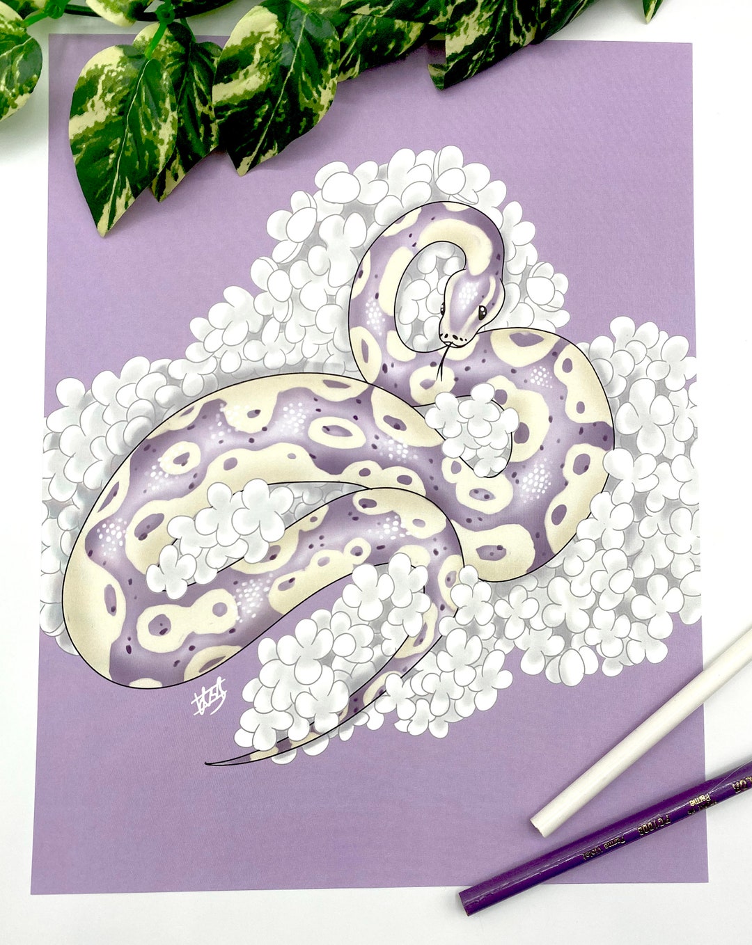 Ball Python With White Flowers Print - Etsy