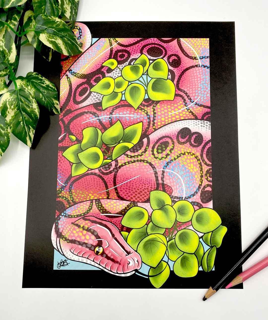 Pink Rainbow Boa Print - Etsy