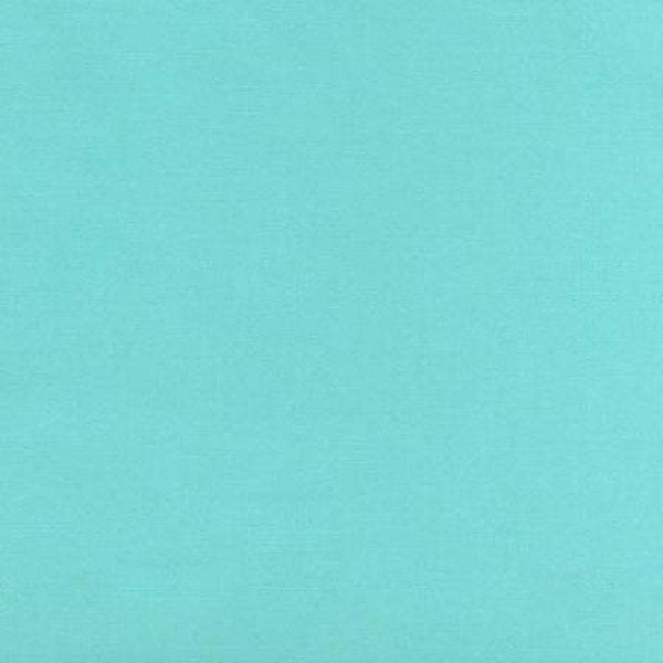 Kona Solids Yarrow by Robert Kaufman - Etsy