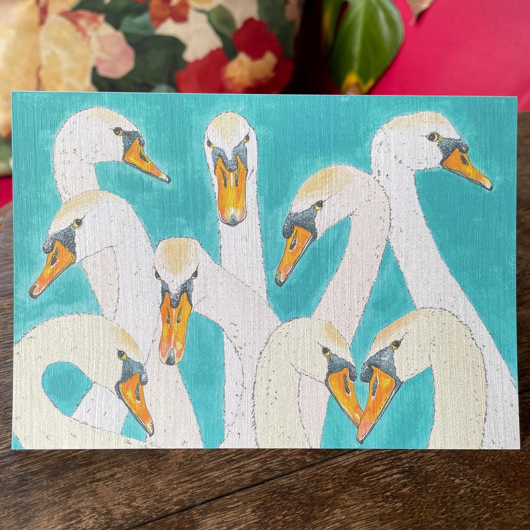 Swan Greetings Card Card for a Nature Enthusiast Nature Lover Mute Swan ...