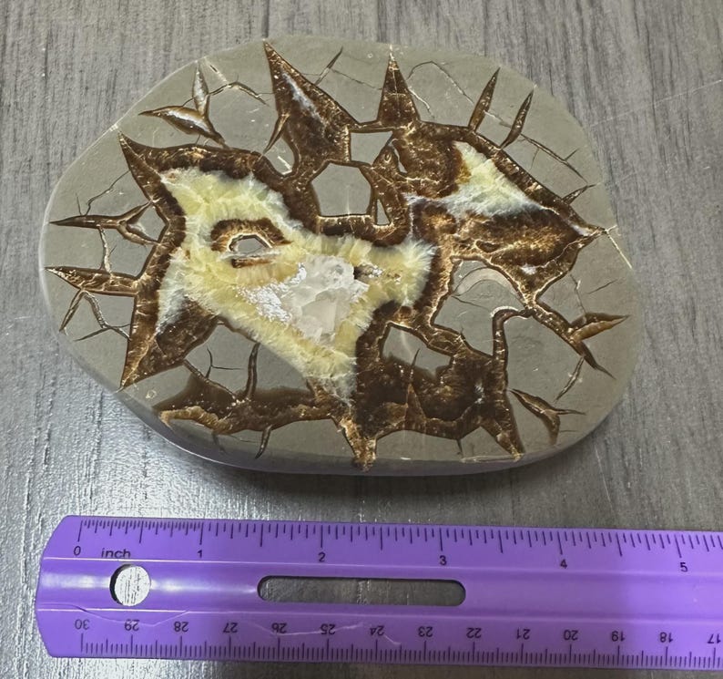 Septarian Nodule, Calcite, Muddy Creek, Orderville, Kane Co. UT UV ...