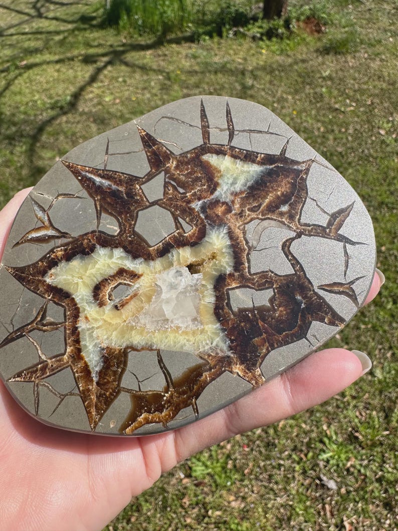 Septarian Nodule, Calcite, Muddy Creek, Orderville, Kane Co. UT UV ...