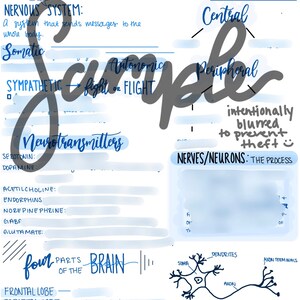 Intro to Psychology Complete Note Set- 13 Pages - Etsy