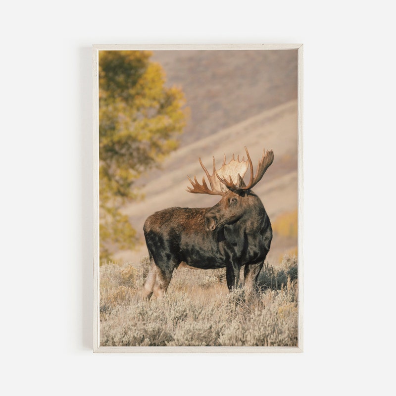 Rustic Moose - Etsy